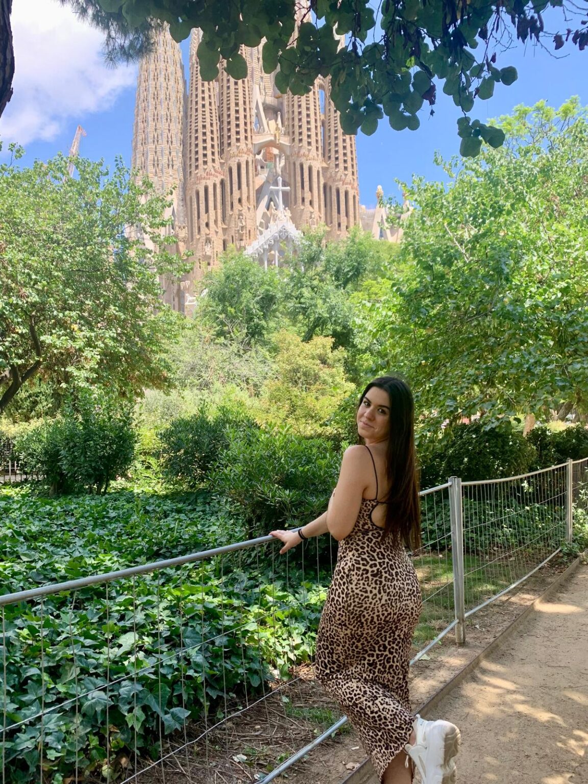 Andrea Serrano - Camplus España